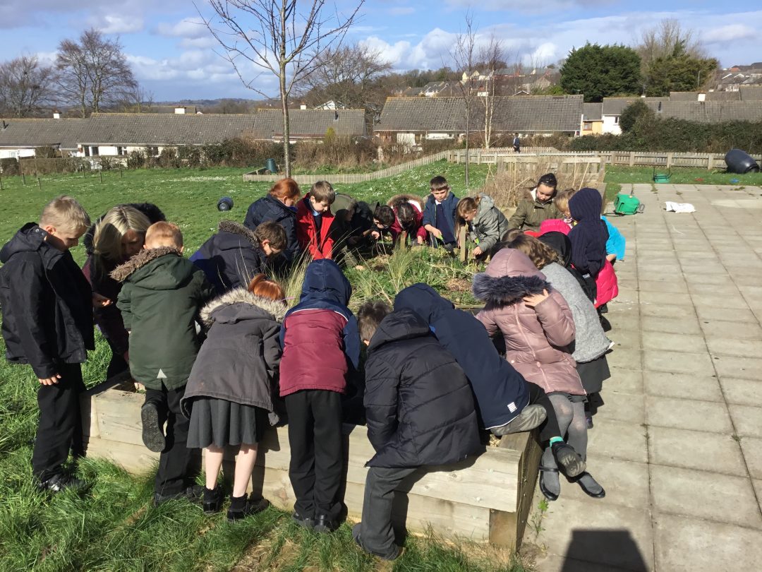 We are all farmers! - Haytor View Primary School & Nursery